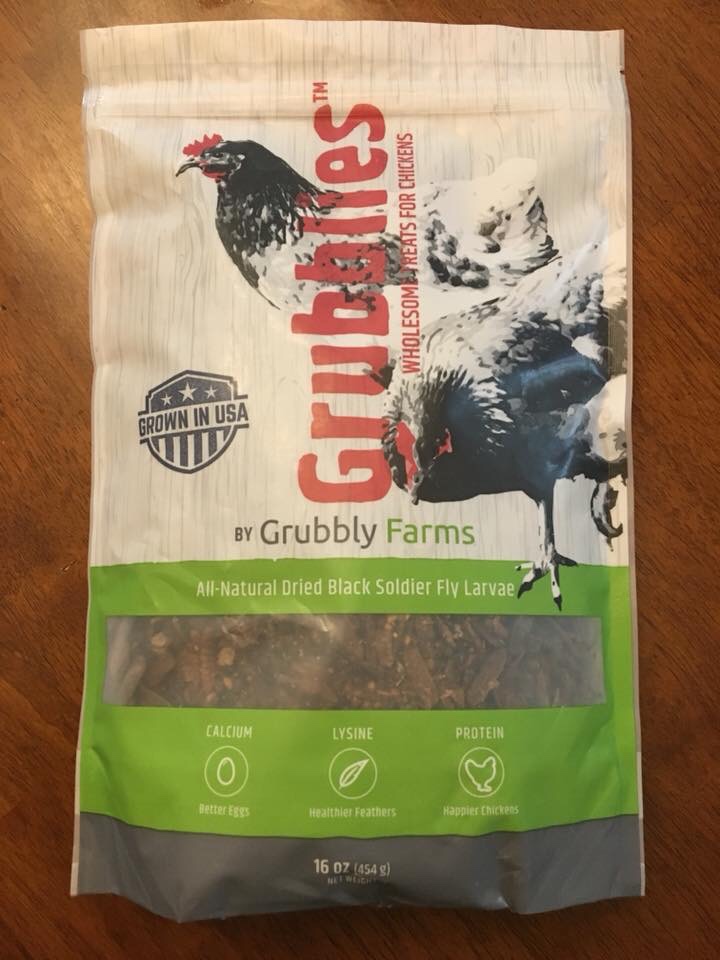 The Basics of Hatching and Raising Quail – Mayetta Farms
