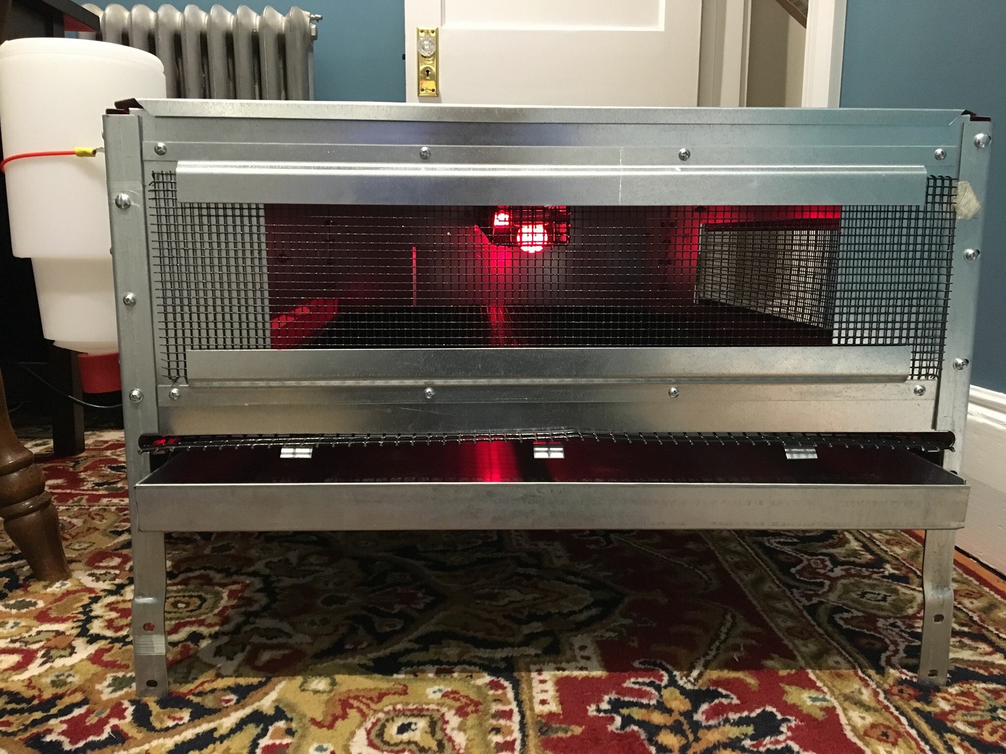 The Basics of Hatching and Raising Quail – Mayetta Farms