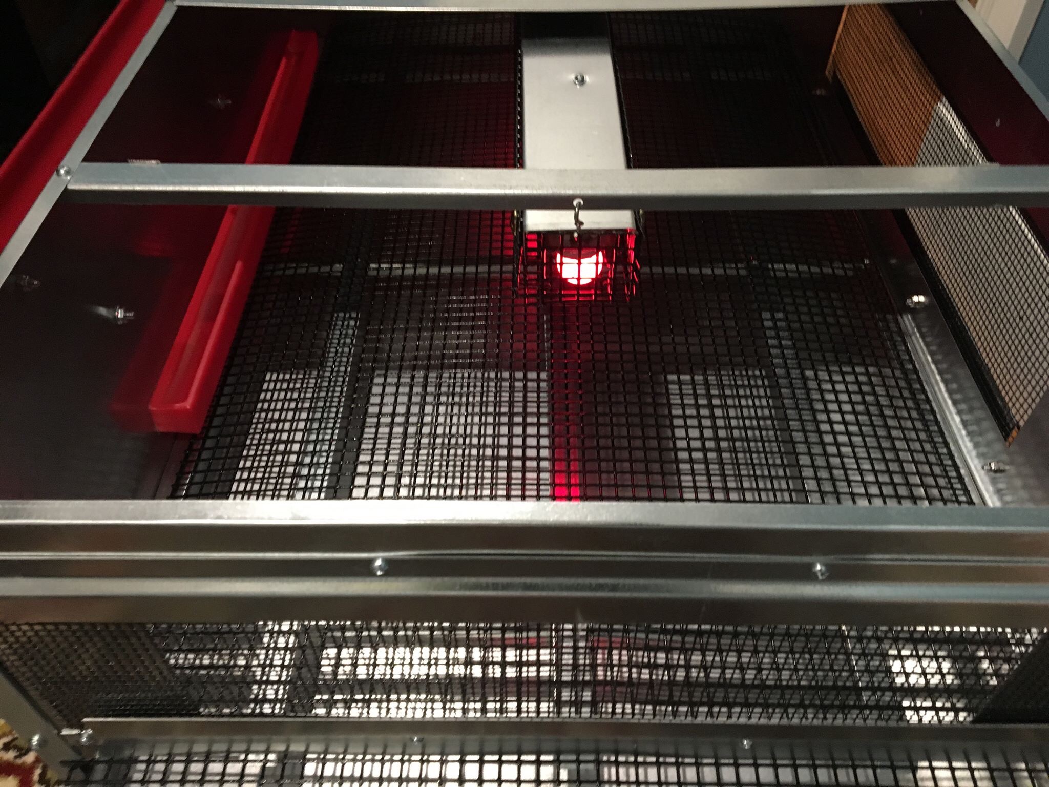 The Basics of Hatching and Raising Quail – Mayetta Farms